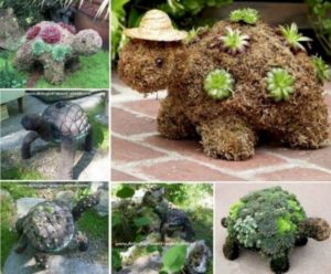 Best 8 DIY Succulent Turtle Design Ideas You Have To Know – My Home ...