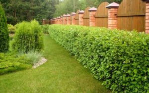 40 ідей, як красиво відгородитись від сусідів – Моє домашнє натхнення